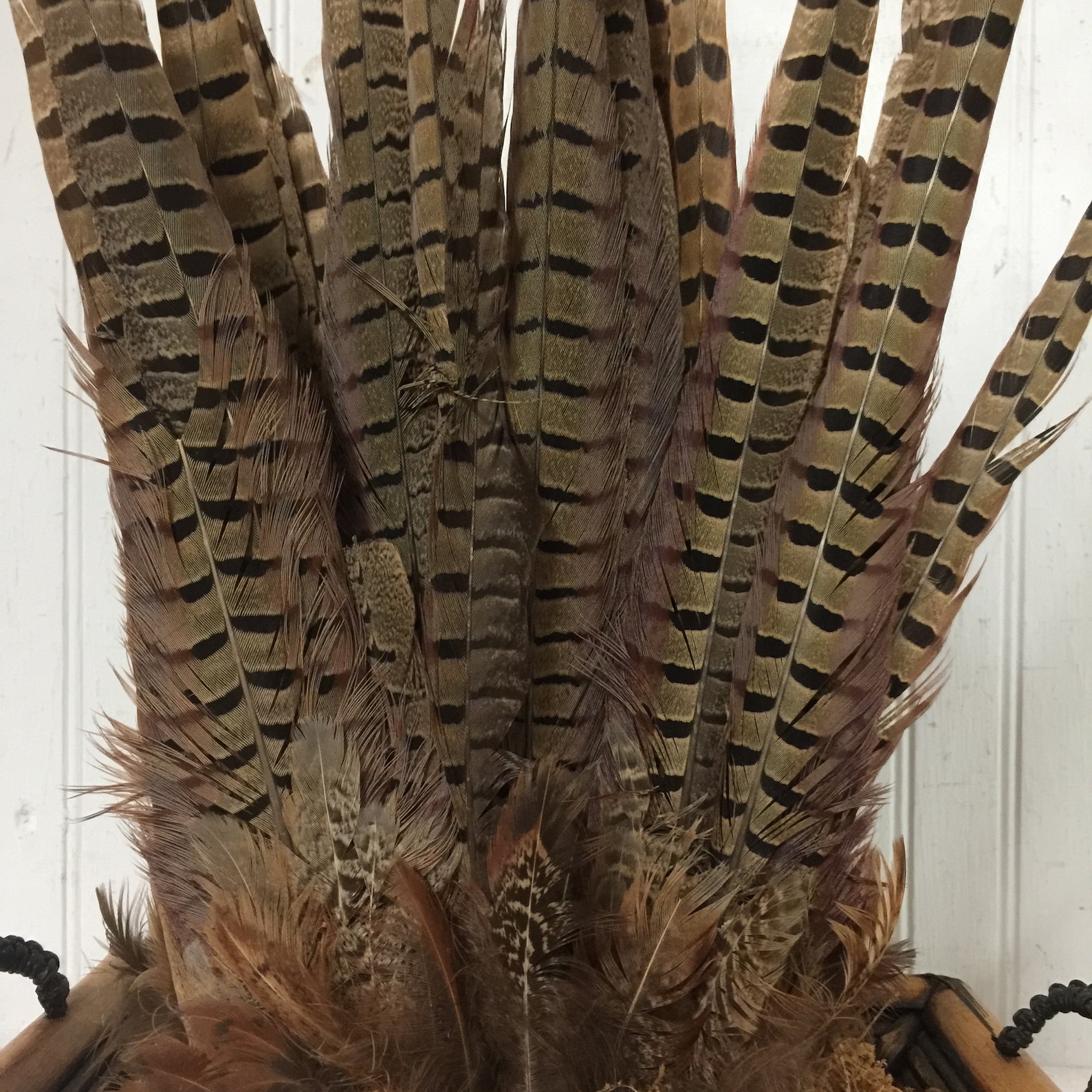 Vintage Feather Sculpture, Danish Modern Decor, Pheasant Feathers ...