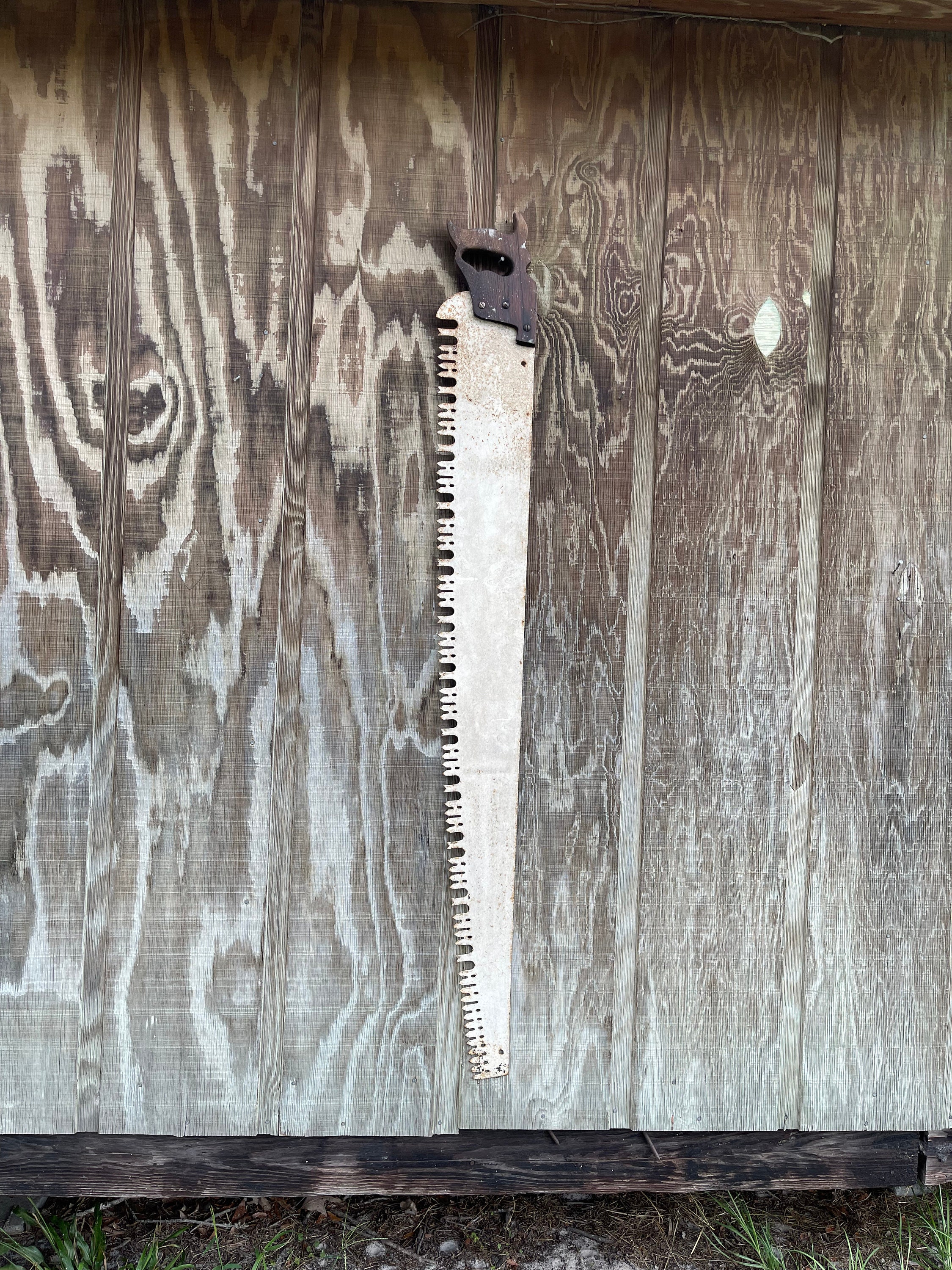 Antique Large Saw, 1 Man Saw, Lumberjack,warrented Superior Saw ...