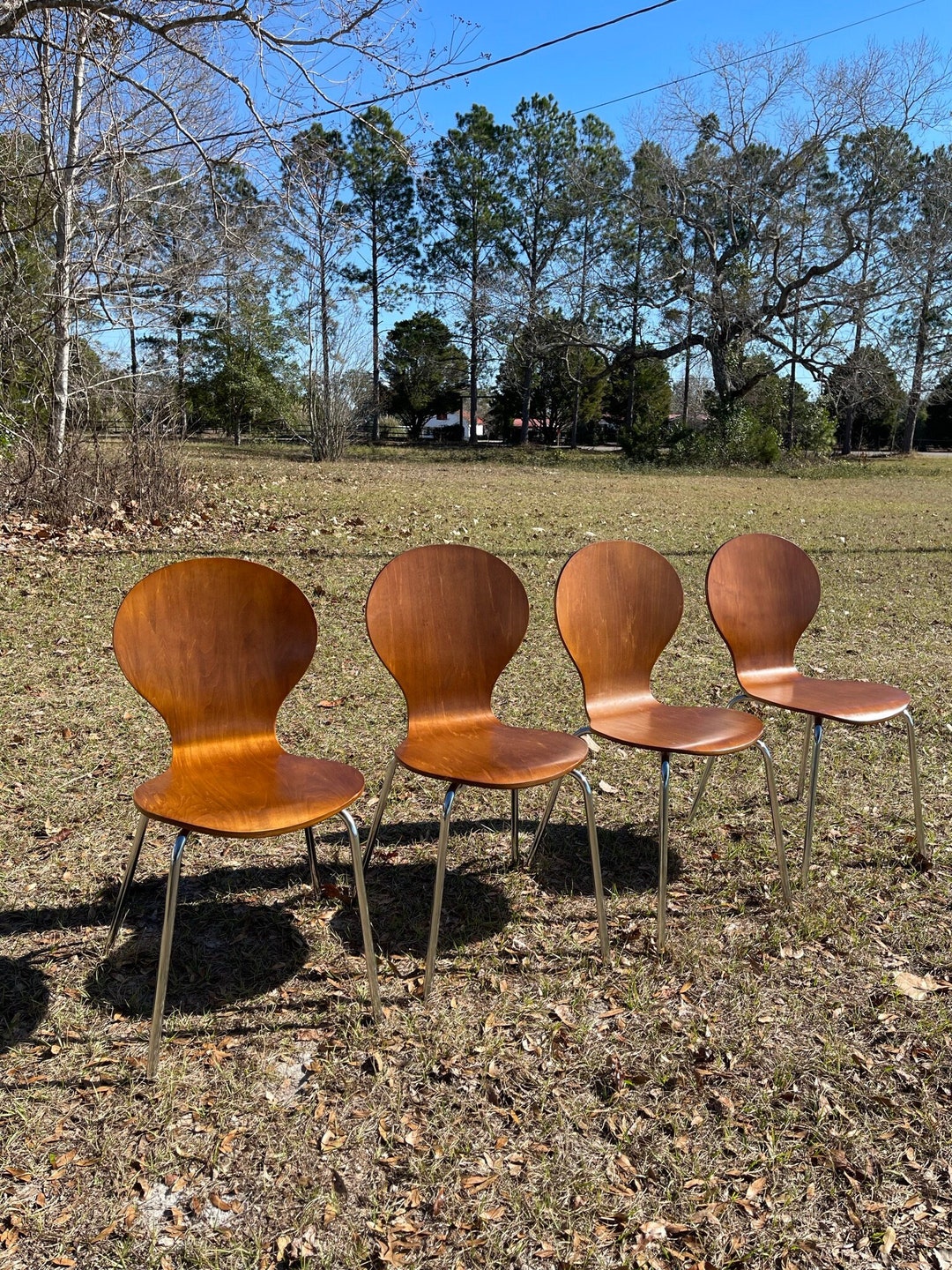 Vintage Ant Chairs, MCM Decor, Curved Plywood Chairs, Mid Century, Wood ...
