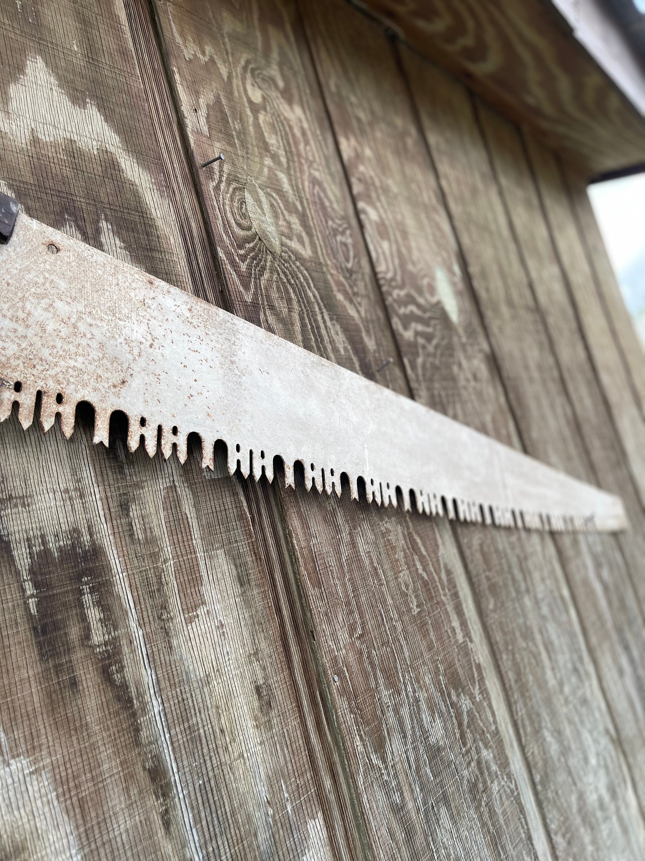 Antique Large Saw, 1 Man Saw, Lumberjack,warrented Superior Saw ...