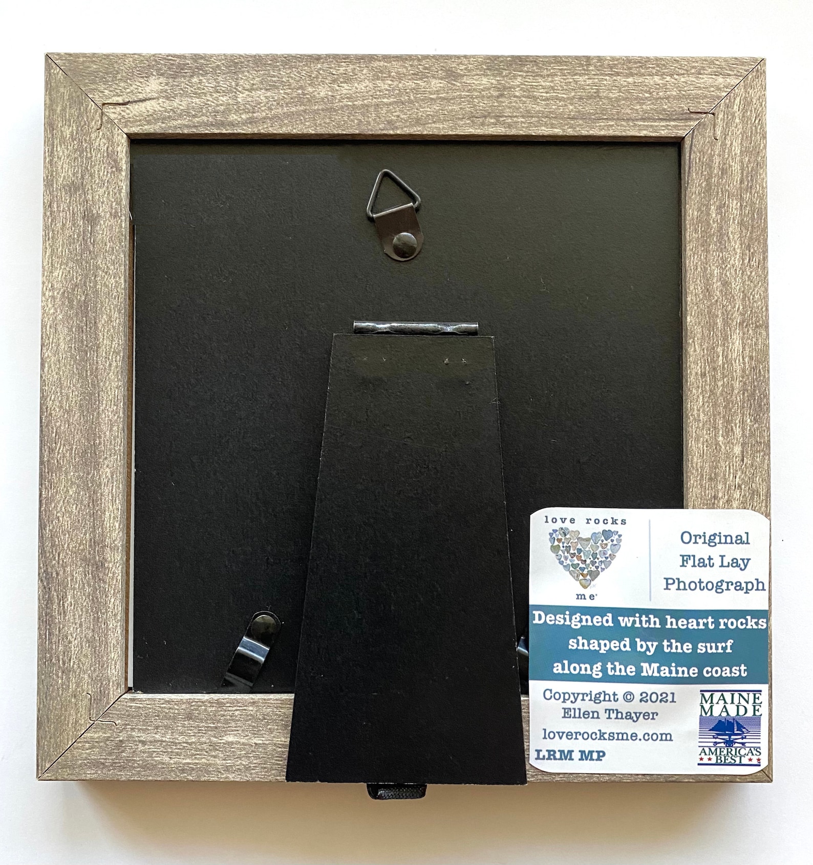 Framed Turtle Print, Turtle Art, Sea Turtle Decor, Turtle Love, Marine ...