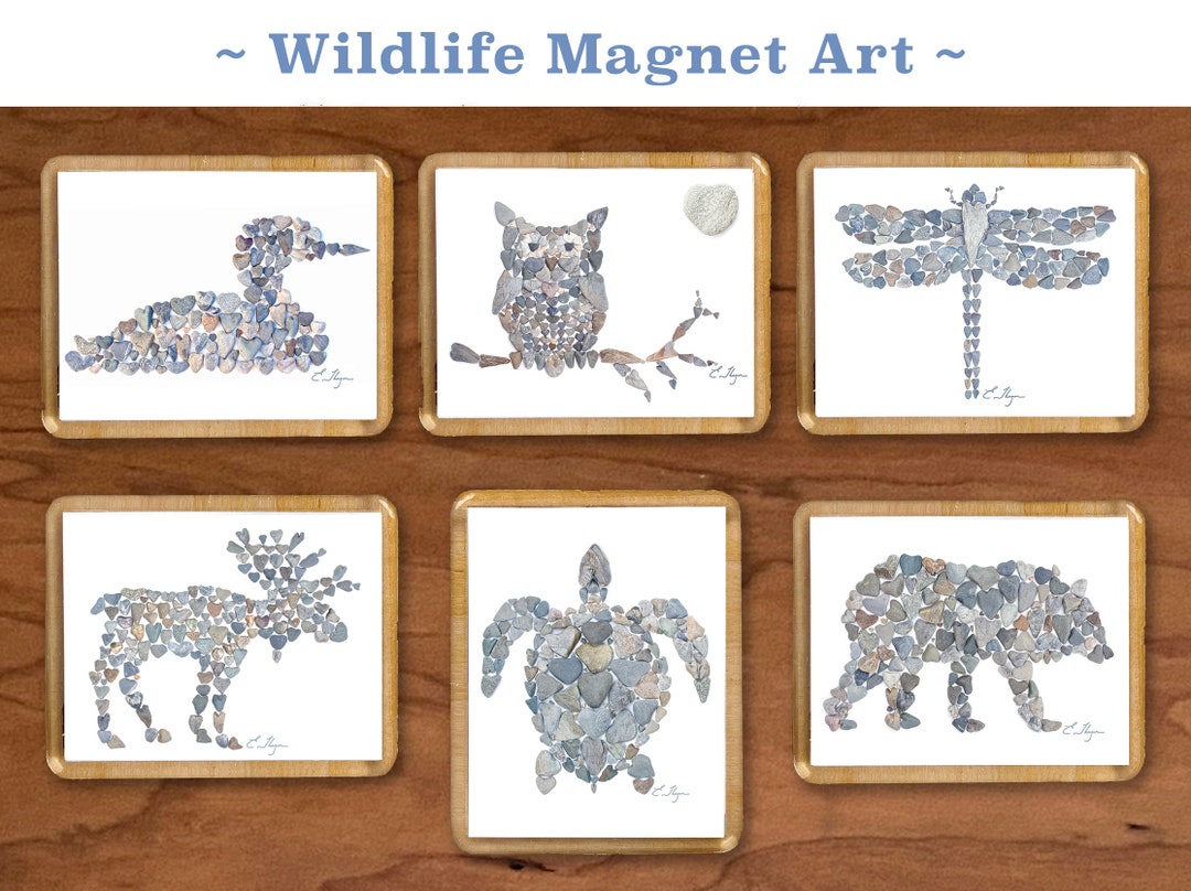 Wildlife magnets, loon magnet, owl magnet, turtle magnet, moose magnet ...