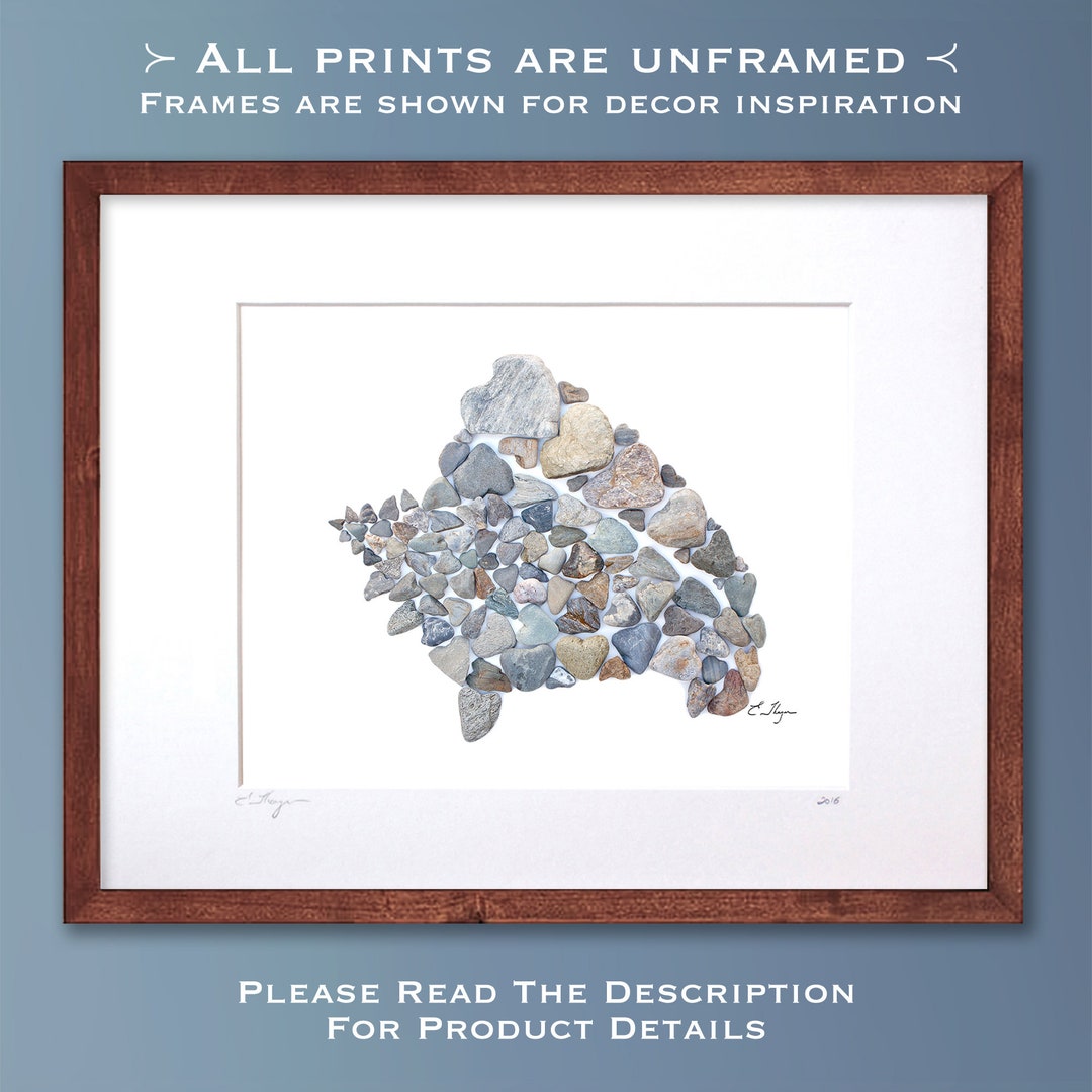 Conch Shell Print, Shell Wall Art, Shell Theme Decor, Tropical Wall Art ...