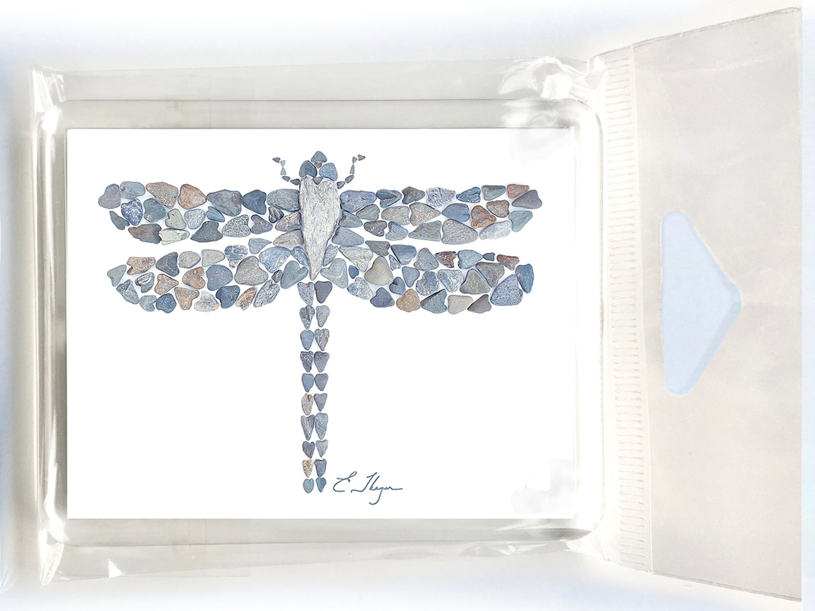 Dragonfly Magnet Insect Magnet Nature Magnet Dragonfly - Etsy