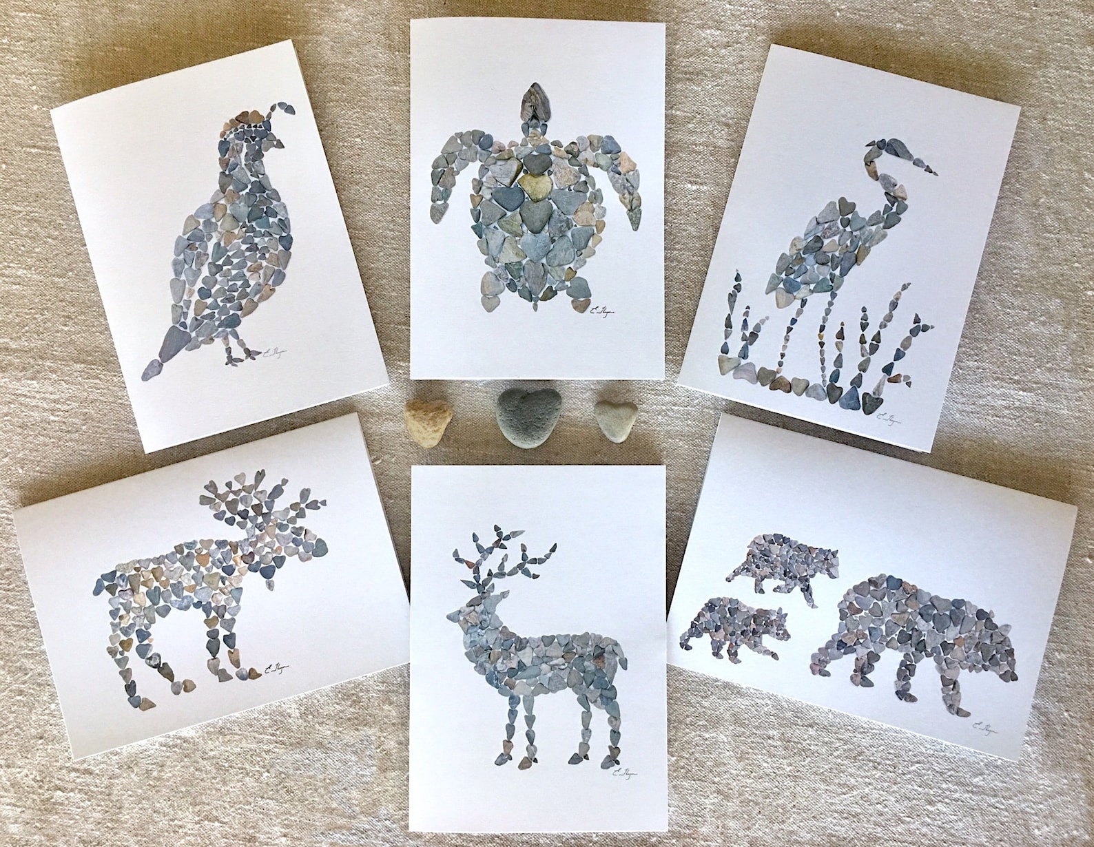 Turtle Card Sea Turtle Card Turtle Lovers Card Turtle Gift - Etsy