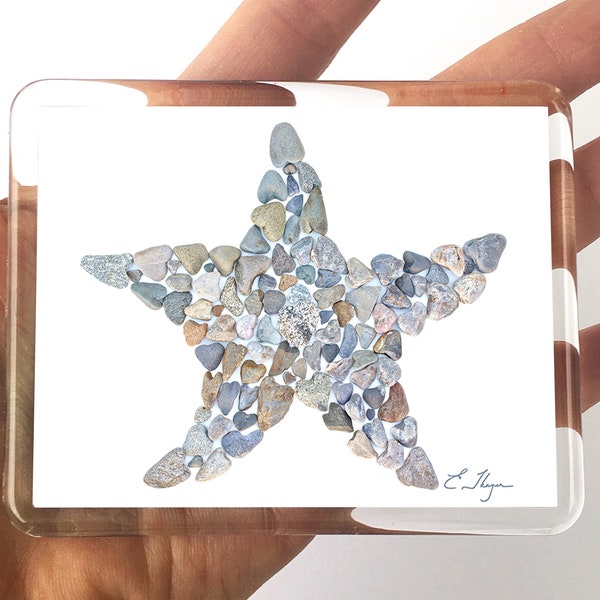 Sea Life Magnets - Etsy