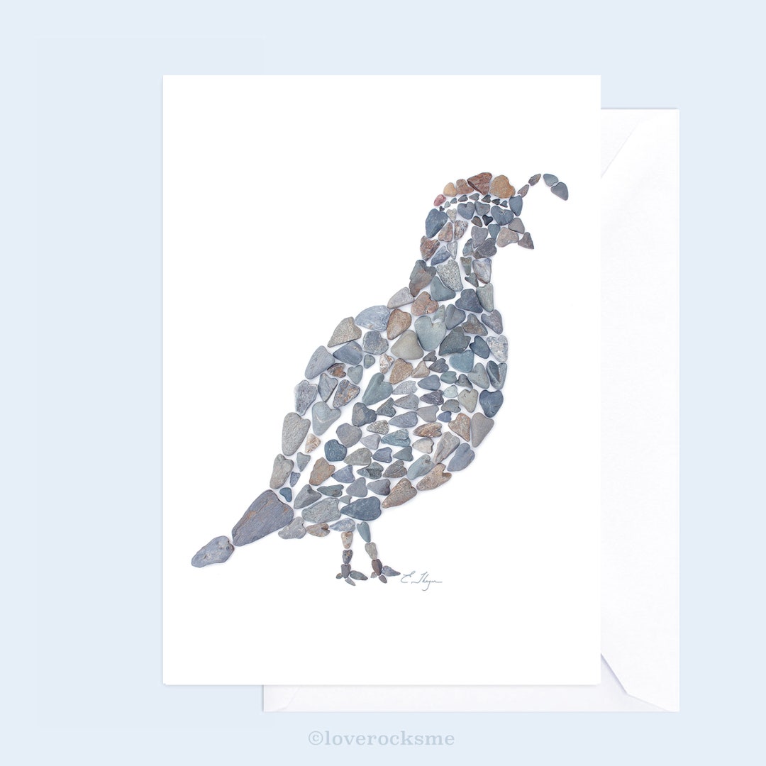 Quail Card, California Quail, Quail Art, Bird Card, Quail Lovers Gift ...