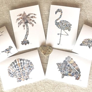 Florida Cards, Tropical Themed Card Set, Florida Wildlife Cards ...