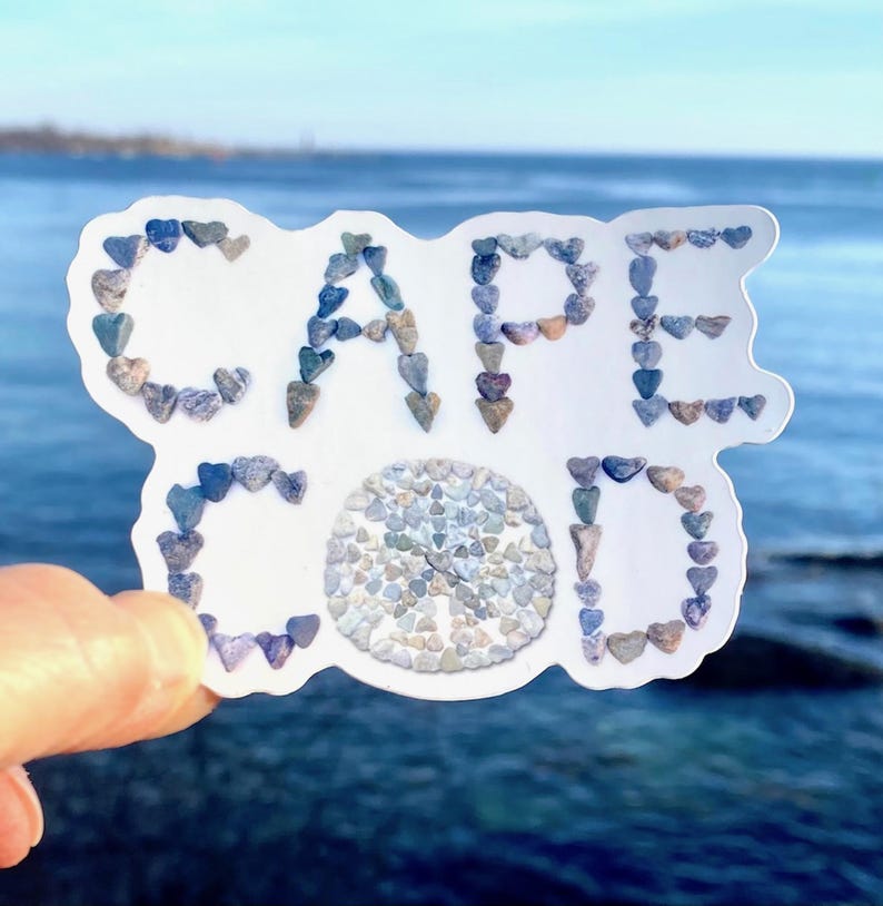 Cape Cod Vinyl Sticker, Massachusetts Souvenir Decal, Sand Dollar ...