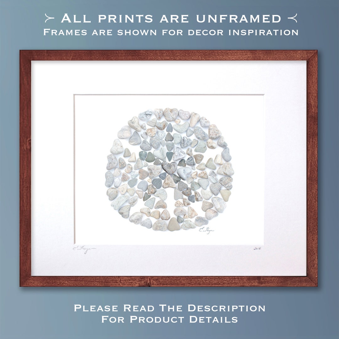 Sand Dollar Wall Art, Sand Dollar Art Print, Coastal Wall Art, Beach ...