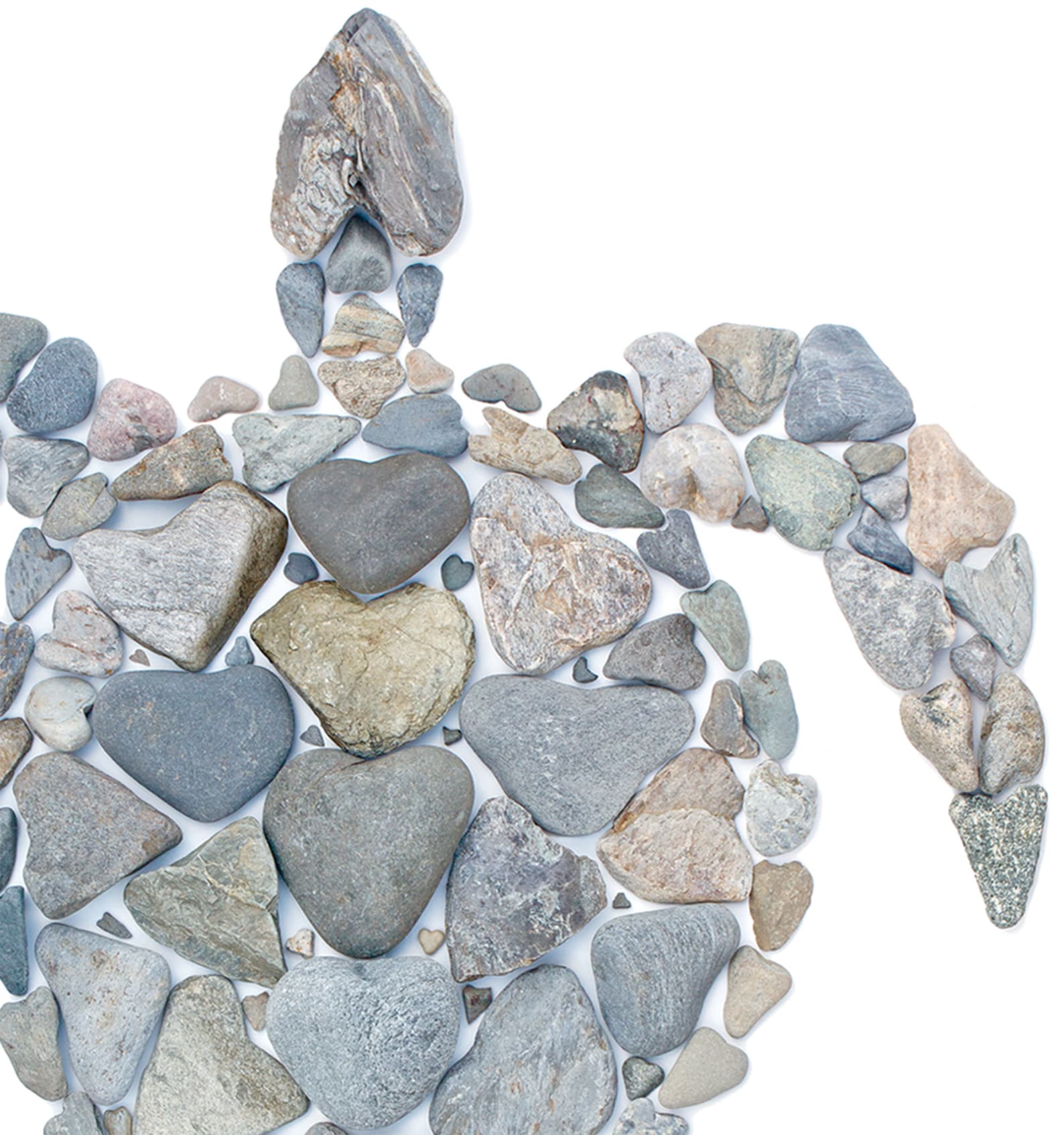 Turtle Magnet Sea Turtle Art Turtle Lover Gifts Tortoise - Etsy