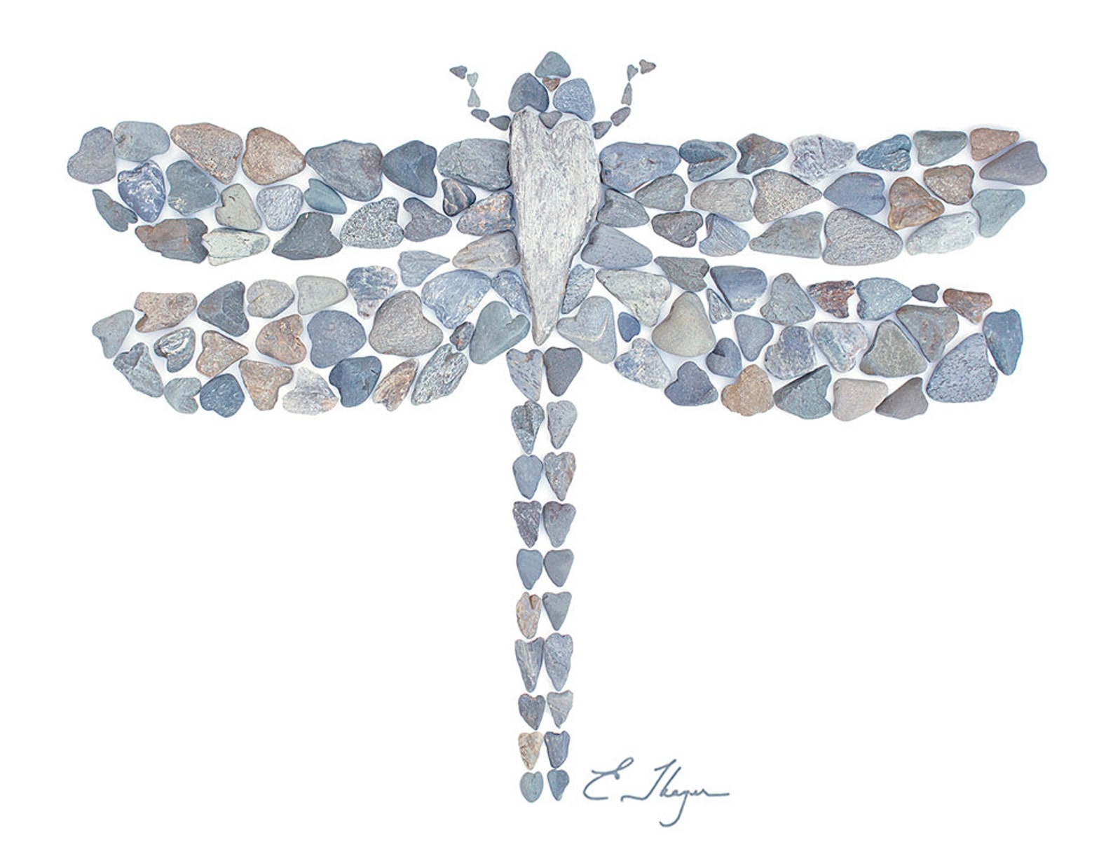 Dragonfly Magnet Insect Magnet Nature Magnet Dragonfly - Etsy