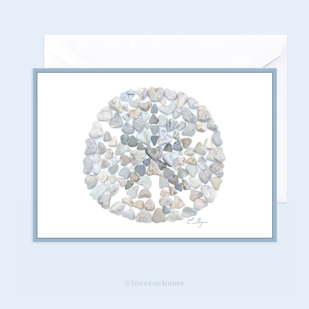 Sand Dollar Card, Sand Dollar Art, Sand Dollar Gifts, Coastal Card, Sea ...
