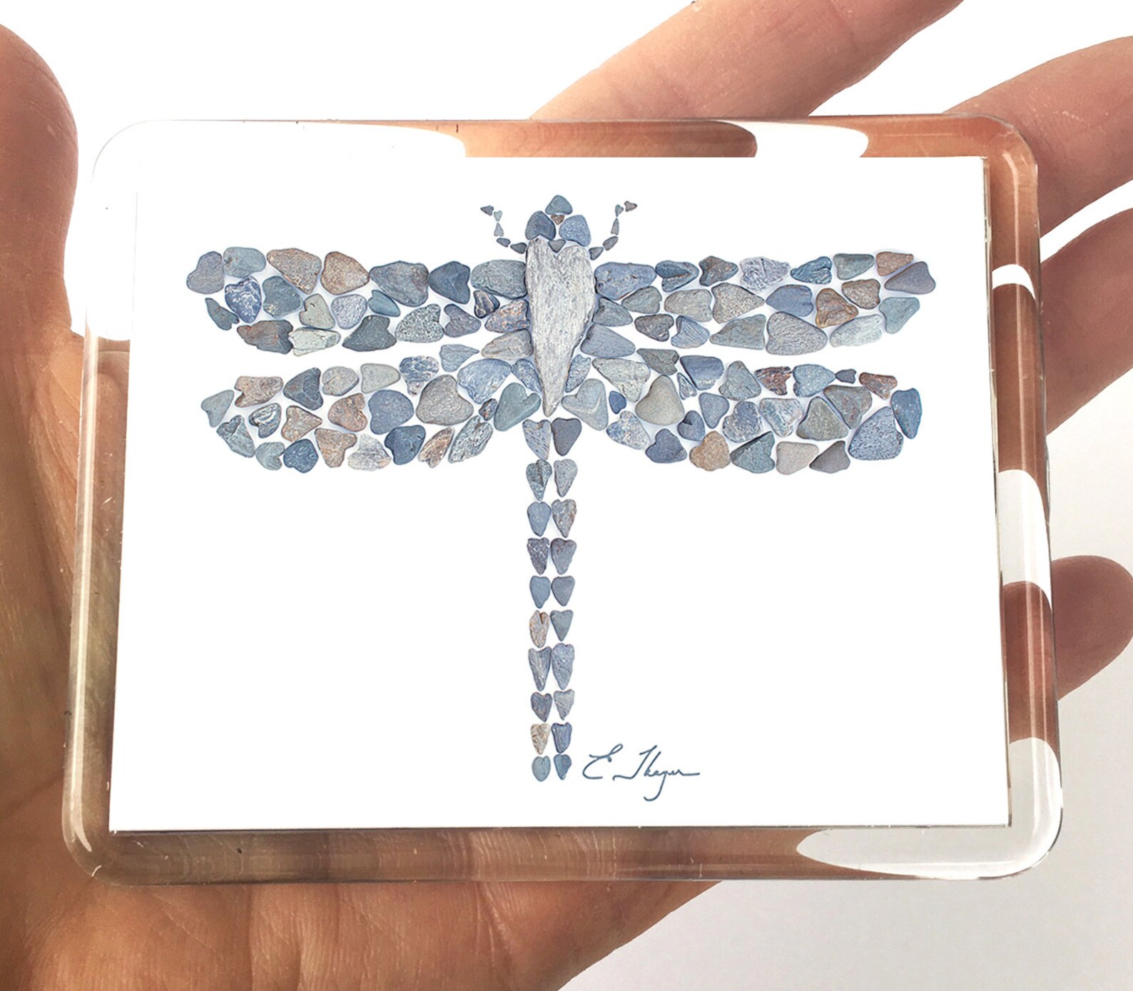 Dragonfly Magnet Insect Magnet Nature Magnet Dragonfly - Etsy