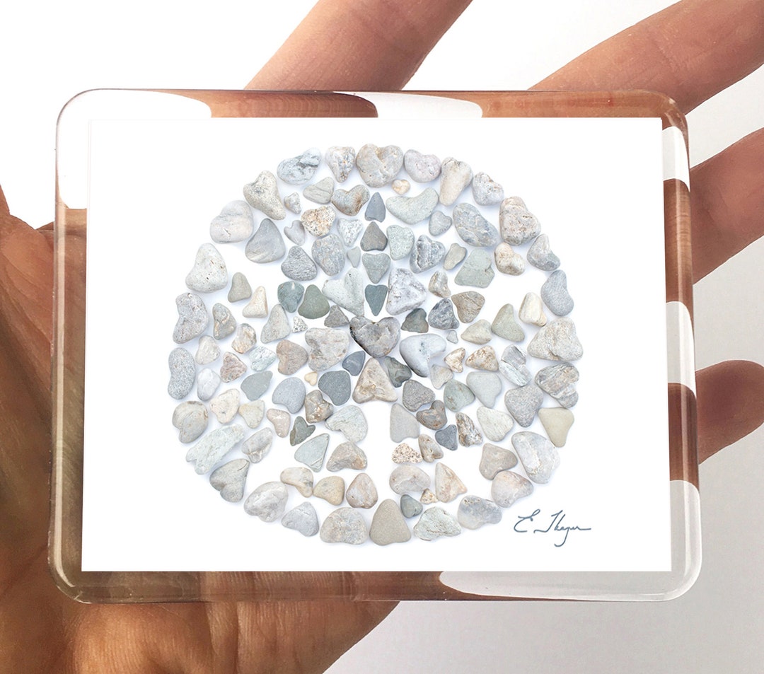 Sand Dollar Magnet, Sea Life Magnet, Beach Magnet, Coastal Magnet, Sand ...