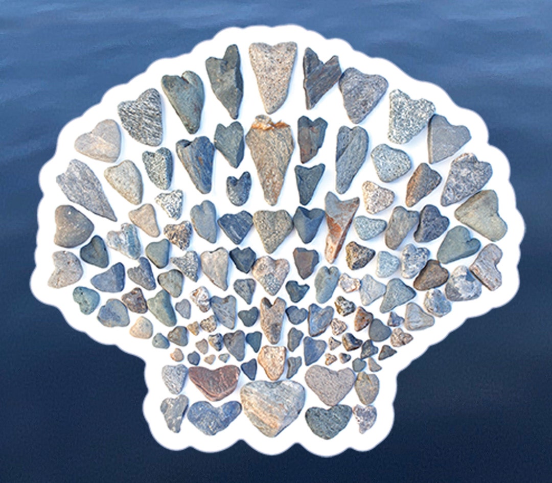 Scallop Shell Vinyl Sticker, Shell Lover Gifts, Shell Decal, Coastal ...