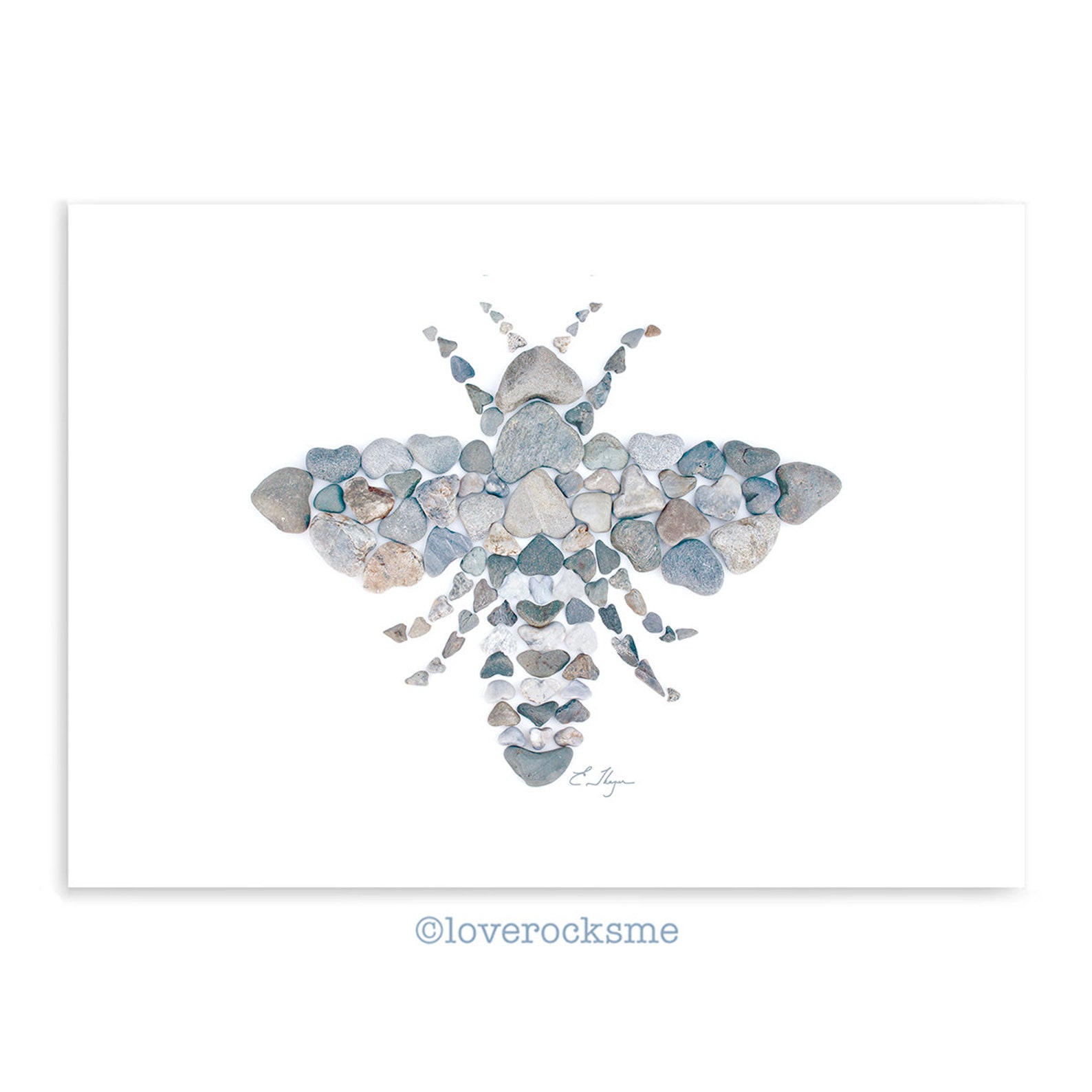 Nature Cards Nature Card Set Nature Love Cards Hummingbird | Etsy