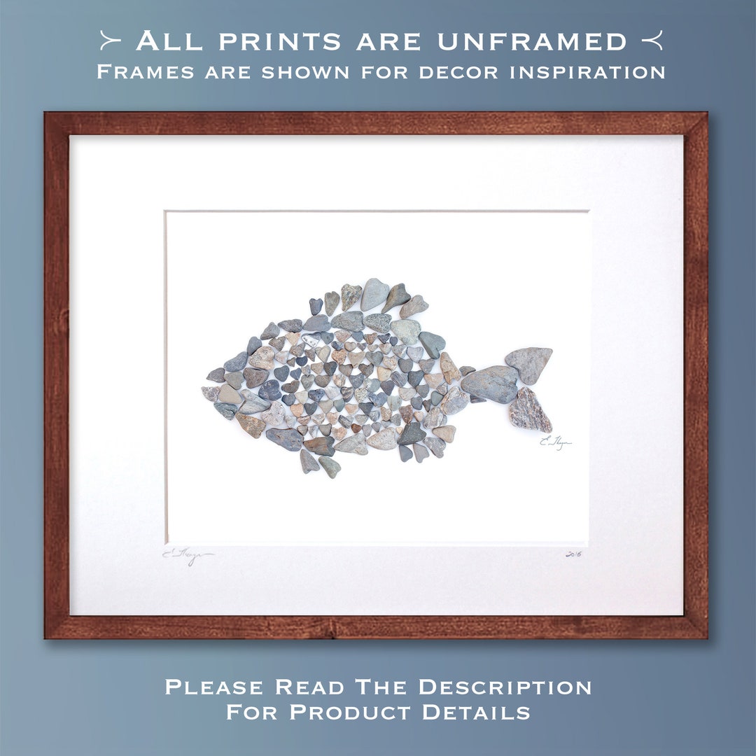 Fish Print, Fish Art Print, Fish Wall Art, Coastal Wall Decor, Fish ...