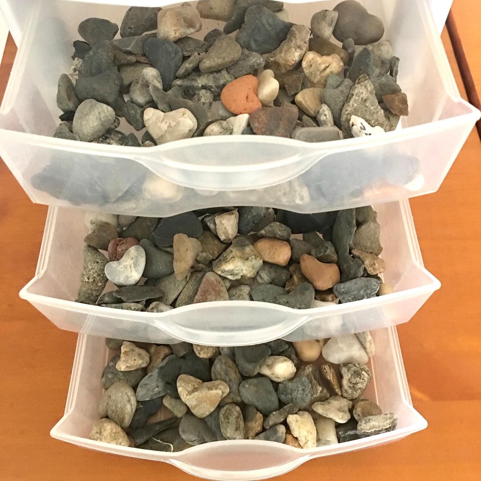 Cape Cod Holiday card Cape Cod Christmas card Cape Cod | Etsy