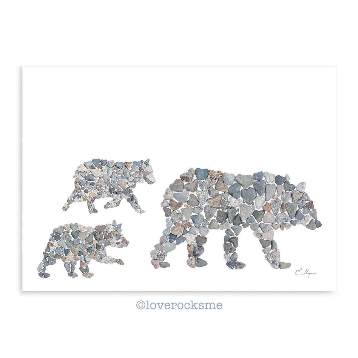 Wildlife Cards, Wildlife Note Cards, Wildlife Card Set, Moose Card ...