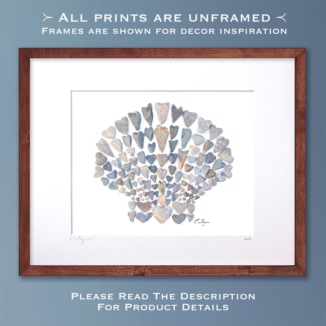 Scallop Shell Art Print, Shell Wall Art, Coastal Art Print, Coastal ...