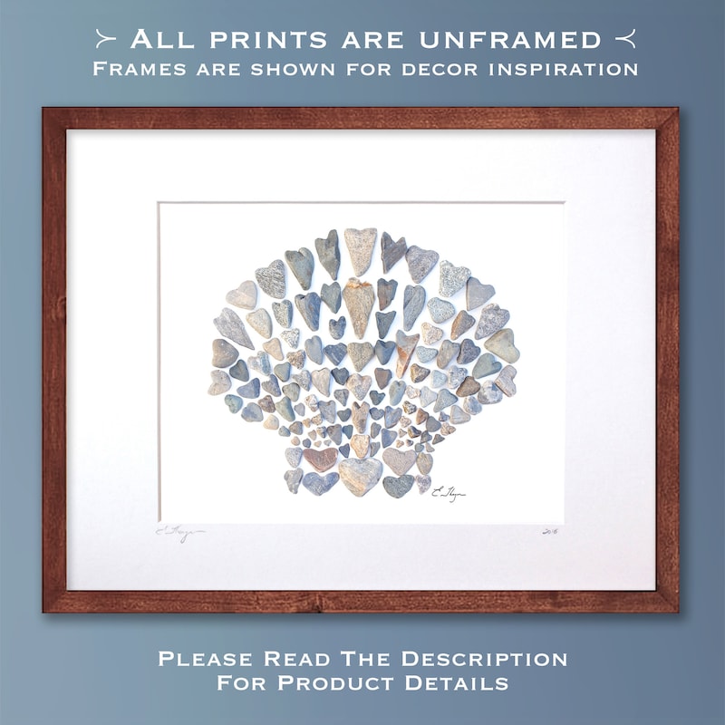 Shell Art Print - Etsy