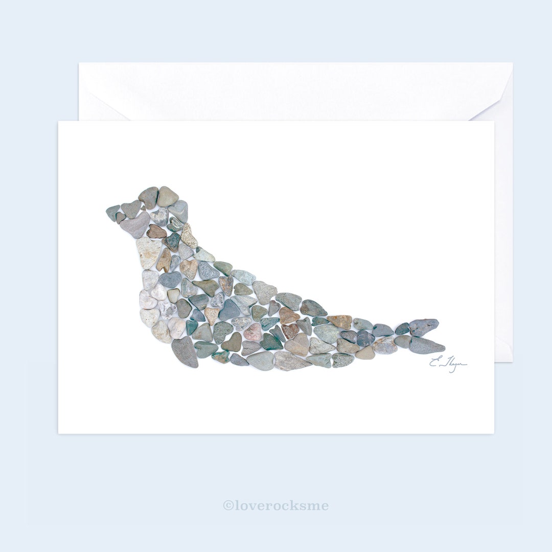 Seal Card, Seal Art Gifts, Seal Lover Gift, Sea Lion Card, Seal ...