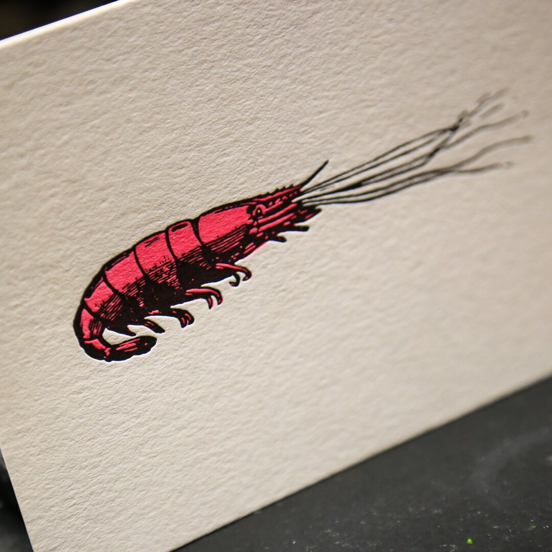 Shrimp Letterpress Card for Decoration - Etsy