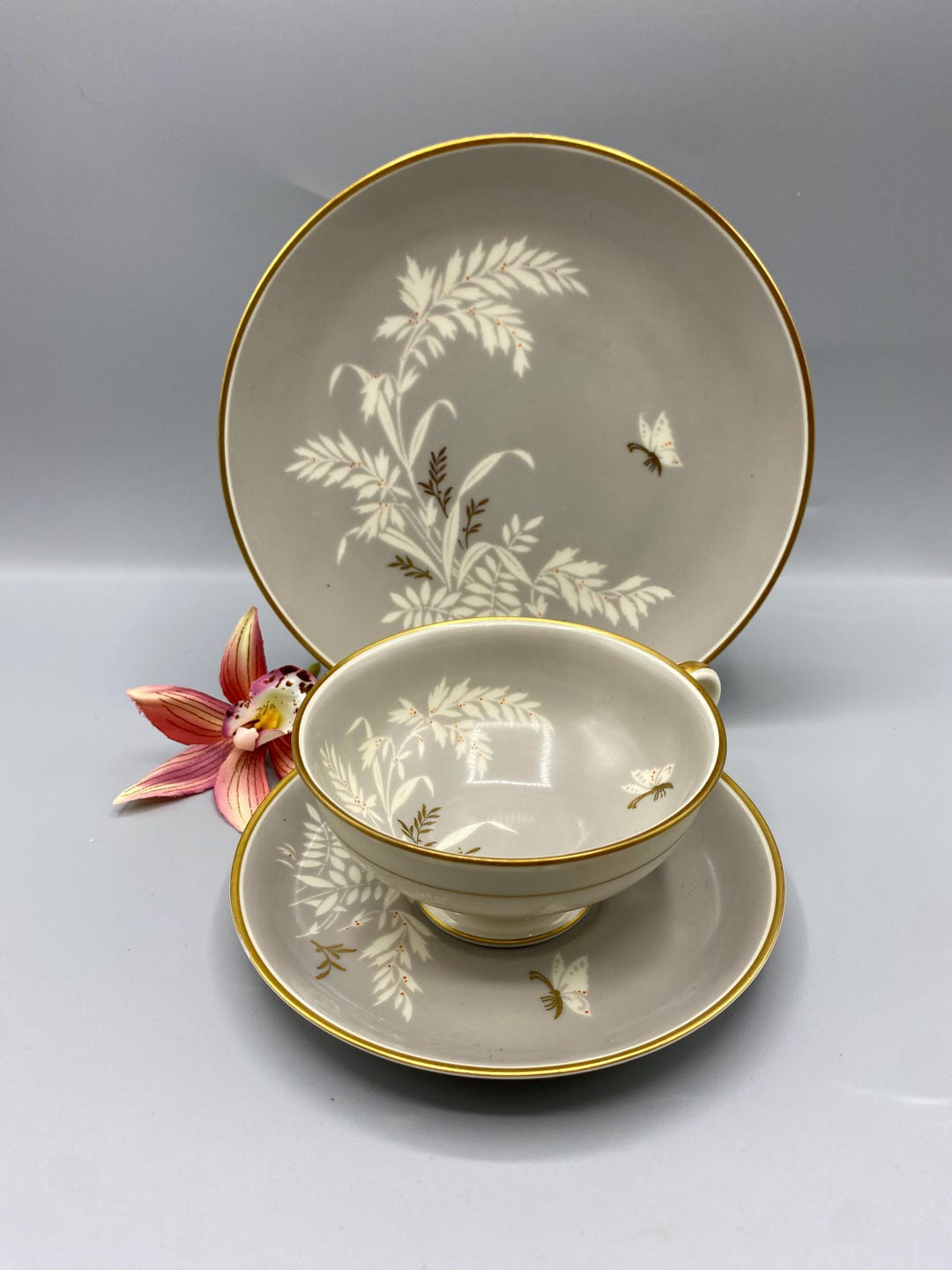 1950's Thomas Rosenthal Germany Dessert Set With Tea Cup, Saucer, Plate ...