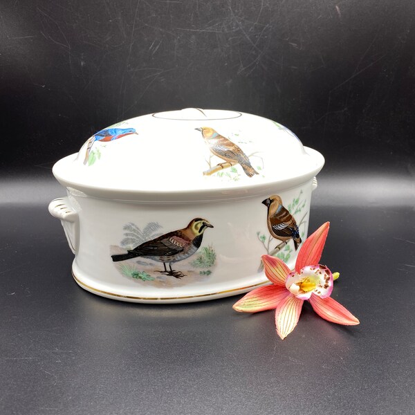 Bird Le Faune - Etsy