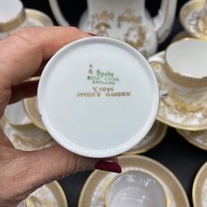 1960’s Spode 12 Demitasse Cups and Saucers With Teapot Spode’s Garden ...