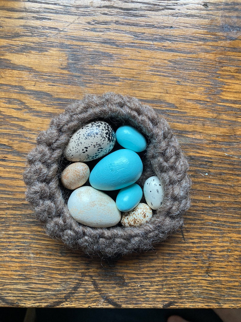 Made to Order-eastern Bird Eggs-nest of Eggs Homeschool Hands on ...