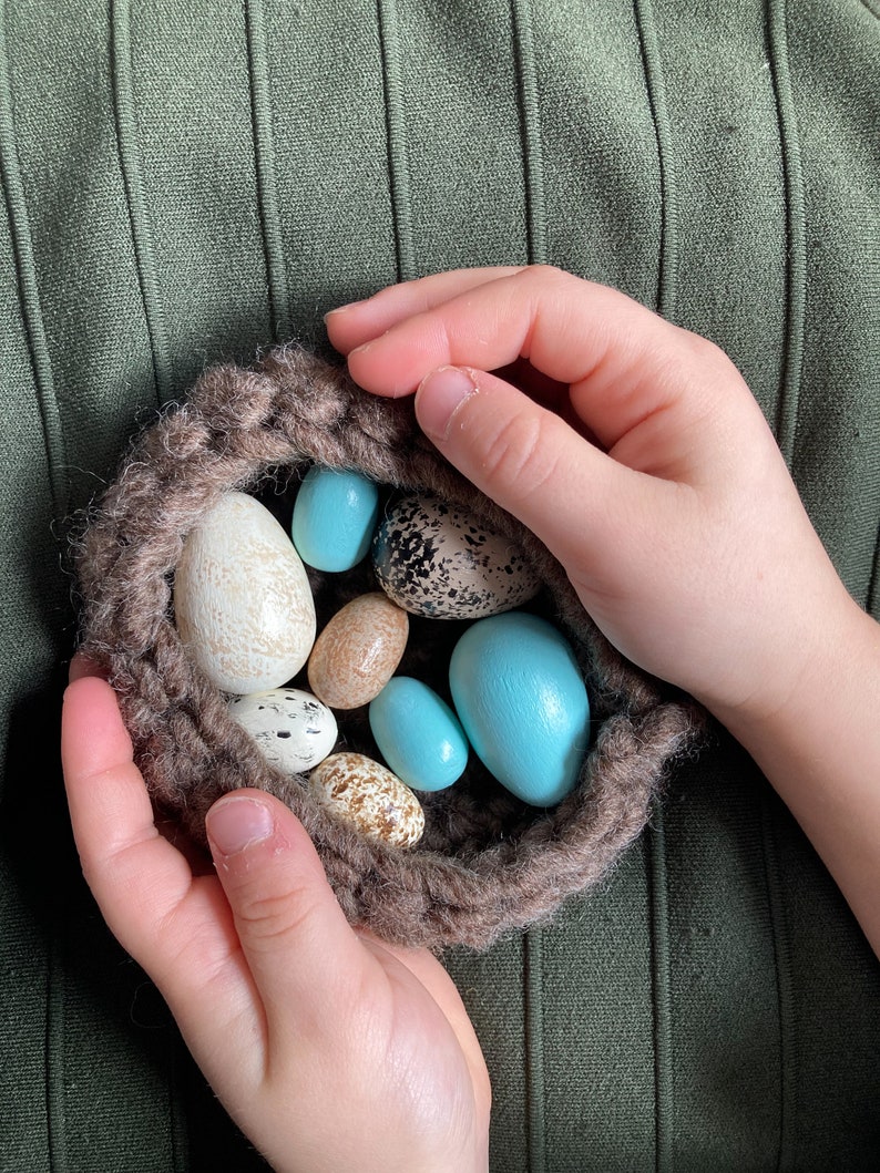 Made to Order-eastern Bird Eggs-nest of Eggs- Homeschool Hands on ...