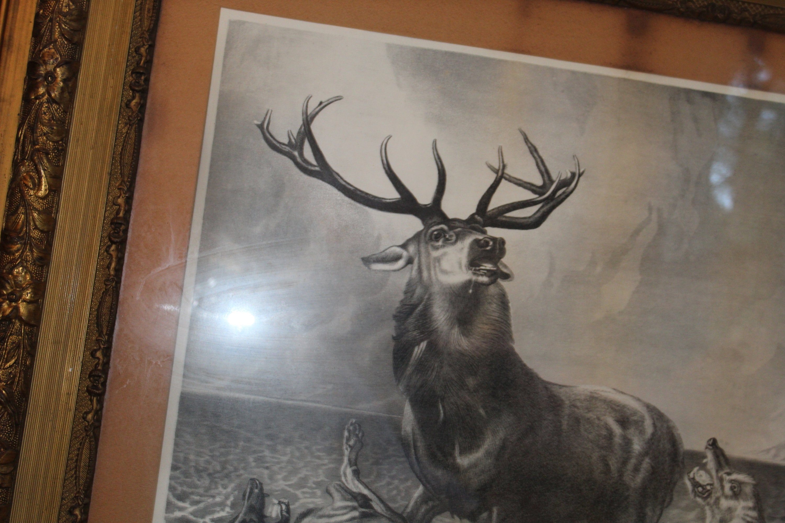 Stag Animal Engraving-the Stag at Bay-by Thomas Landseer Engraving-make ...