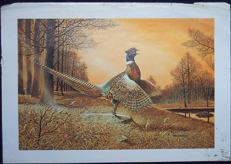 Ruane Manning Bird Prints - Etsy