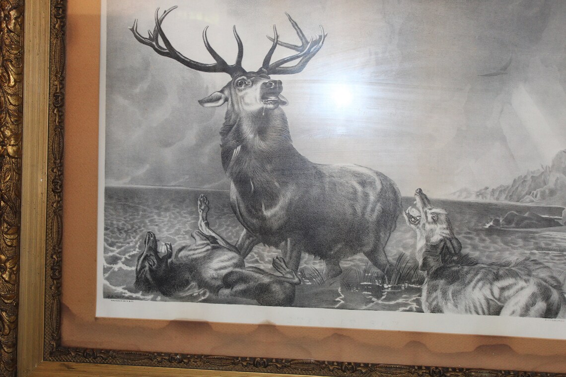Stag Animal Engraving-the Stag at Bay-by Thomas Landseer - Etsy