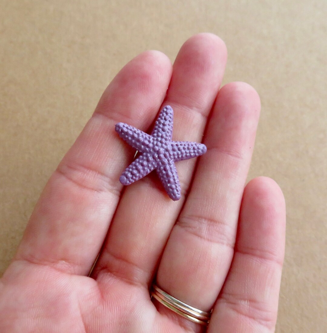 Miniature Sea Animal Starfish - Mini Ocean Terrarium Supplies - Teeny ...
