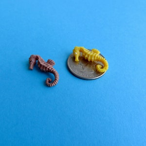 Miniature Seahorse Sea Animals Mini Oceanterrarium Supplies - Etsy