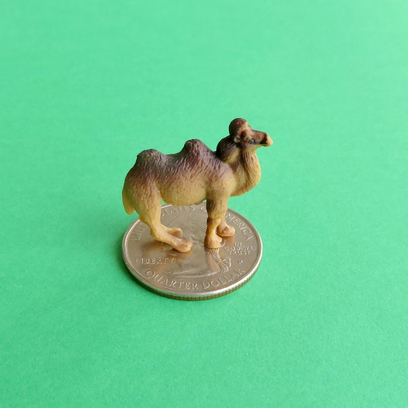 Miniature Camel - Etsy