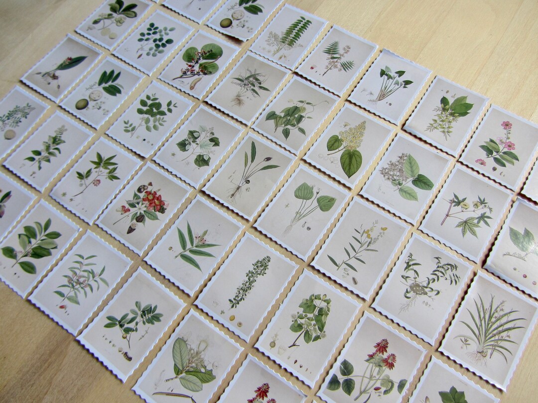 45 Botanical Woodland Flower Leaf Stickers, Nature Botany Stamp Shaped ...