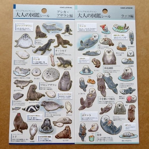 Kamio ADULT VISUAL DICTIONARY Stickers, Otter Seal Sea Lion Stickers ...