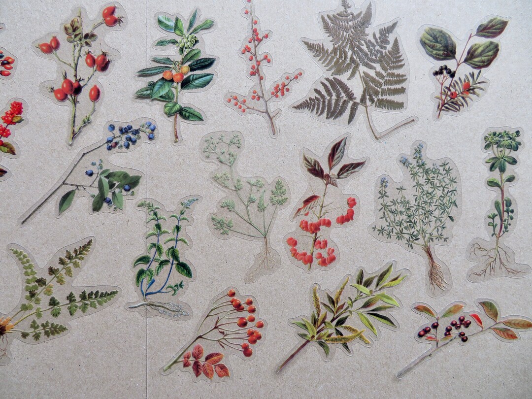 Realistic Flower Stickers, Red Green Leaf & Berry Nature Garden ...