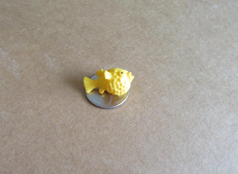 Miniature Puffer Fish Sea Animals - Mini Oceanterrarium Supplies ...
