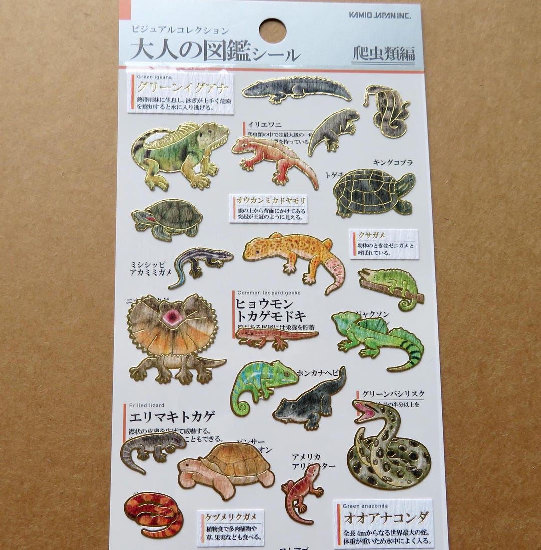 Kamio Animals ADULT VISUAL DICTIONARY Stickers, Reptile Stickers, Gold ...
