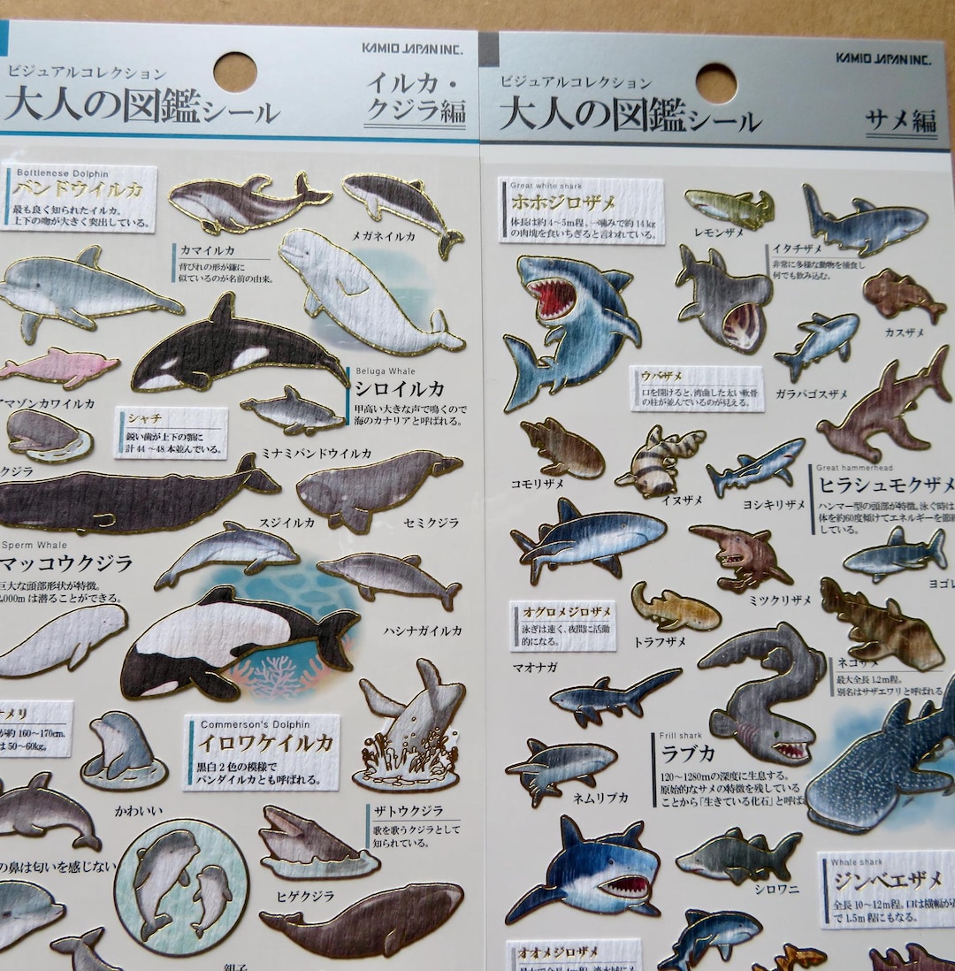 Kamio ADULT VISUAL DICTIONARY Stickers, Shark Dolphin & Whale Stickers ...