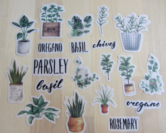 40 Herb Garden Plant Stickers Kawaii Nature Label Stickers - Etsy