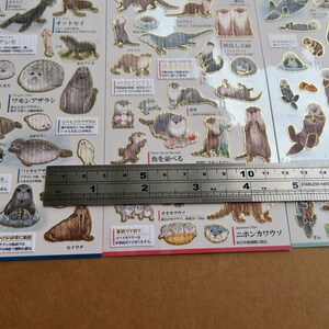 Kamio ADULT VISUAL DICTIONARY Stickers, Otter Seal Sea Lion Stickers ...