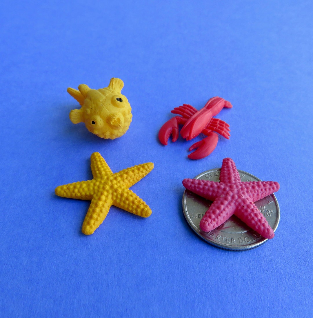 Miniature Sea Animals Mini Oceanterrarium Supplies Teeny Tiny Sea ...
