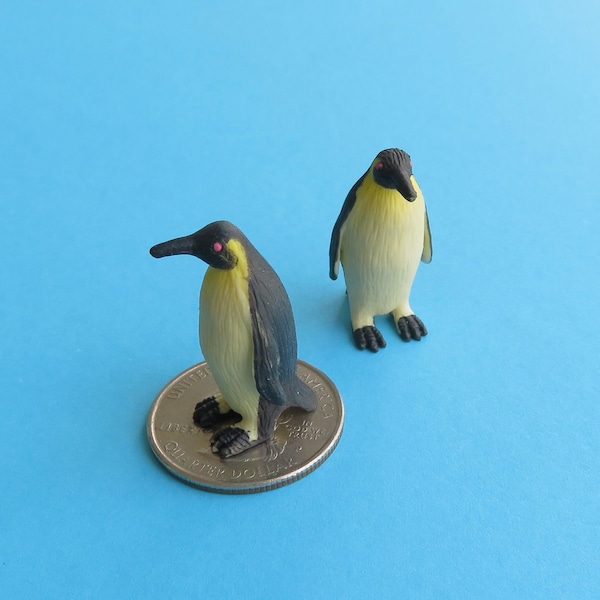 Miniature Penguin - Etsy