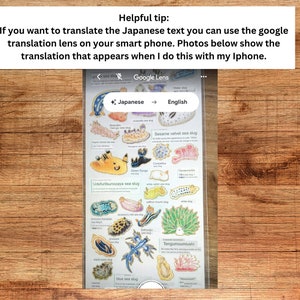 Kamio ADULT VISUAL DICTIONARY Stickers, Tropical Fish Deep Sea Slug ...